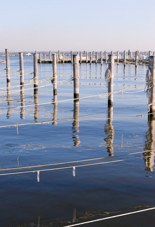 Wooded Dock Poles and Ropes. Vertical Stock Image - Image of pile ...