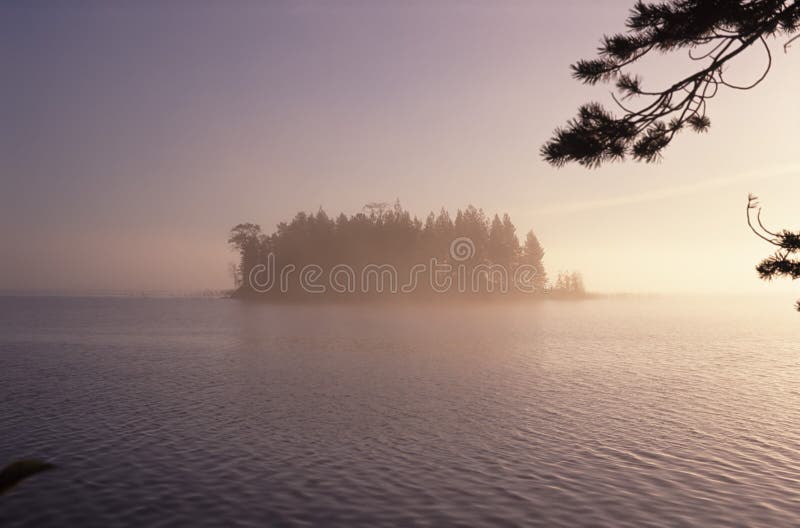 Wooded island in lake stock photo. Image of trees, morning - 383912