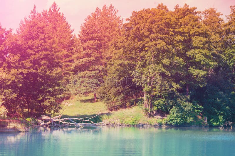 Wooded Lakeshore in the Evening Stock Photo - Image of lake, morning ...