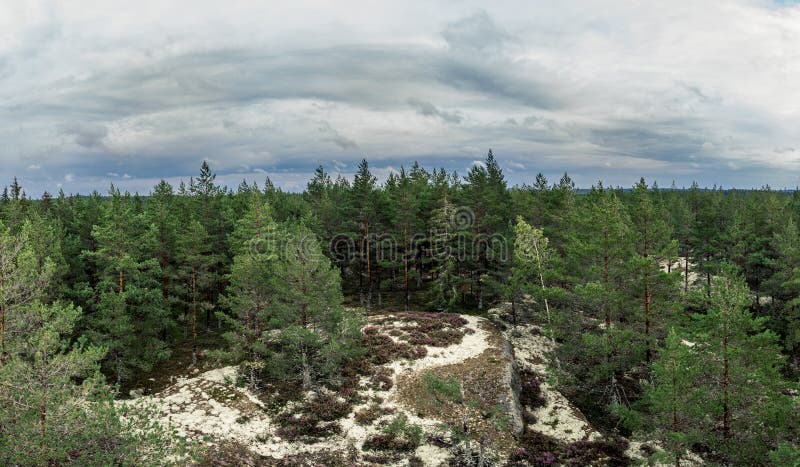 Wooded landscape view stock image. Image of fairytale - 156343547