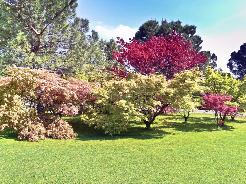 Wooded park details stock photo. Image of background - 23508338