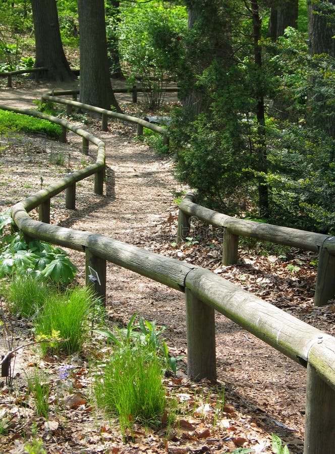 Wooded Path stock photo. Image of forest, path, railing - 259366