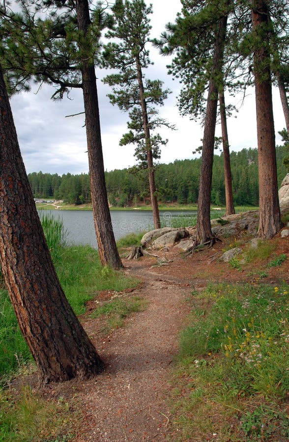 Wooded Path by a Lake stock image. Image of adventure - 6189853 Wooded Path by a Lake stock image. Image of adventure - 6189853