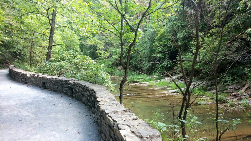 Wooded Path in a Green Paraise. Stock Image - Image of trunks ...