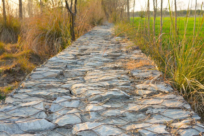 Wooded Pathway Forest Stones Grass Stock Photos - Free & Royalty-Free ...