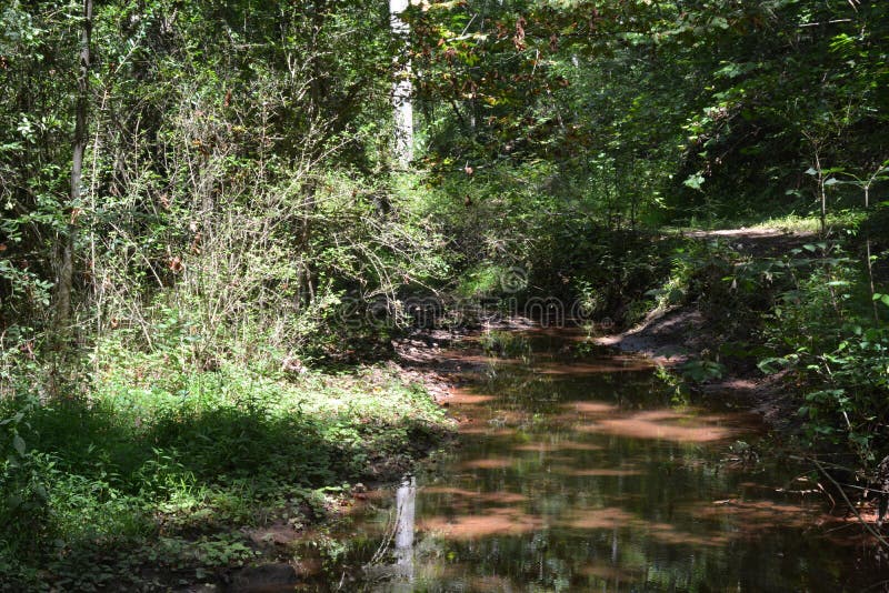Wooded stream stock image. Image of landscape, creek - 98535271