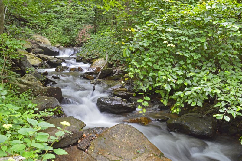 Wooded Stream stock photo. Image of travel, colorful - 32662218