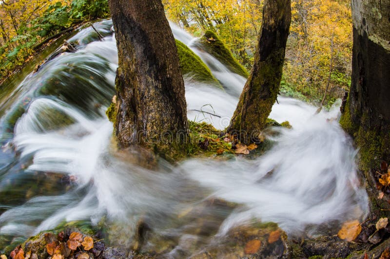 Wooded stream stock image. Image of countryside, hillside - 36290701