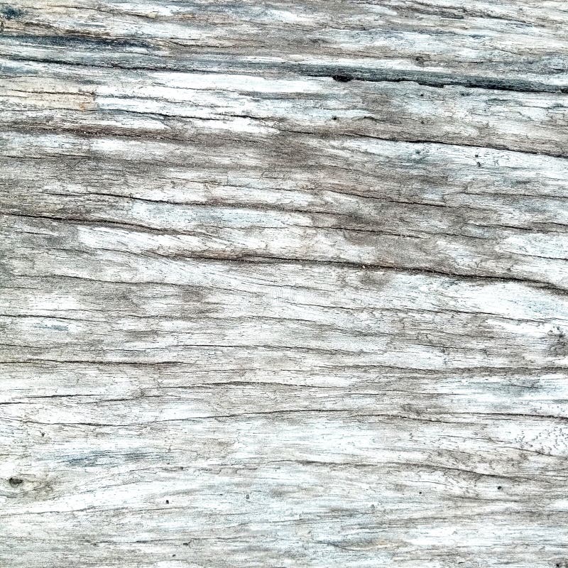 Wooden Abstract Background Texture, Wood Texture Stock Image - Image of ...