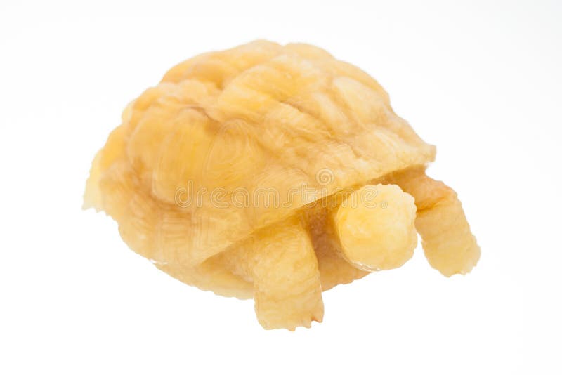 Wooden - Amber Turtle Isolated on White Stock Photo - Image of ...