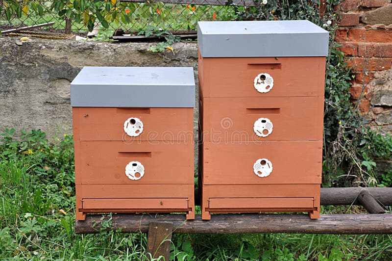 Wooden apiary stock image. Image of nice, work, farm - 212557395