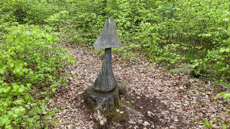 Wooden Arrow Pointing Upwards Placed in a Forest Stock Photo - Image of ...