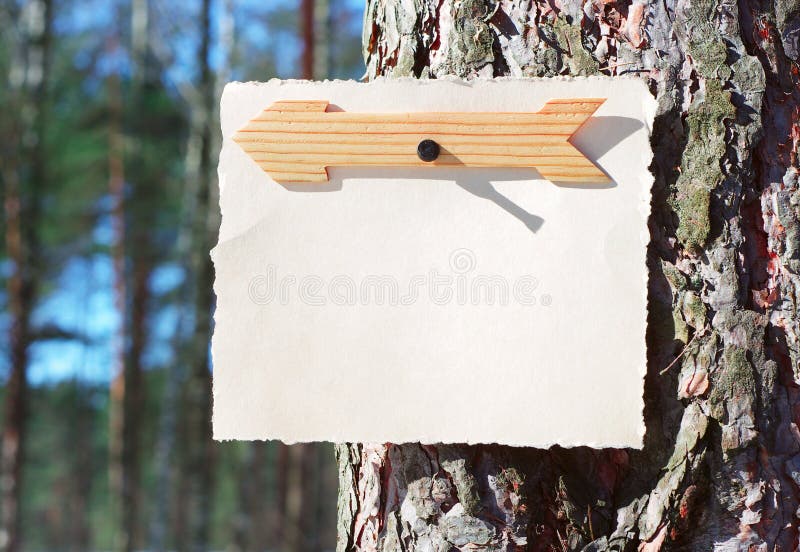 Wooden Arrows Sign and Note Paper on a Tree Stock Photo - Image of ...
