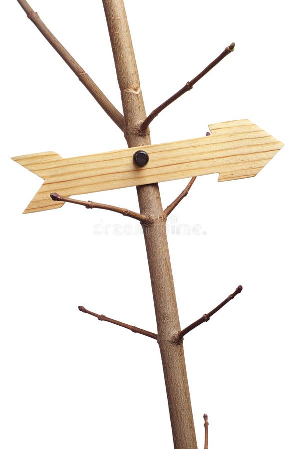 Wooden Arrows on a Tree Branch Stock Photo - Image of plank, branch ...