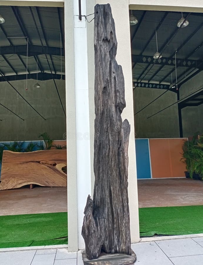 Wooden Artwork from Tree Trunks. a Work of Art that is Natural, Unique ...