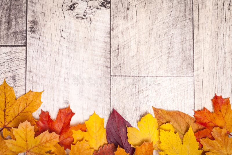 Wooden Autumn Background with Leaves Stock Image - Image of fall ...