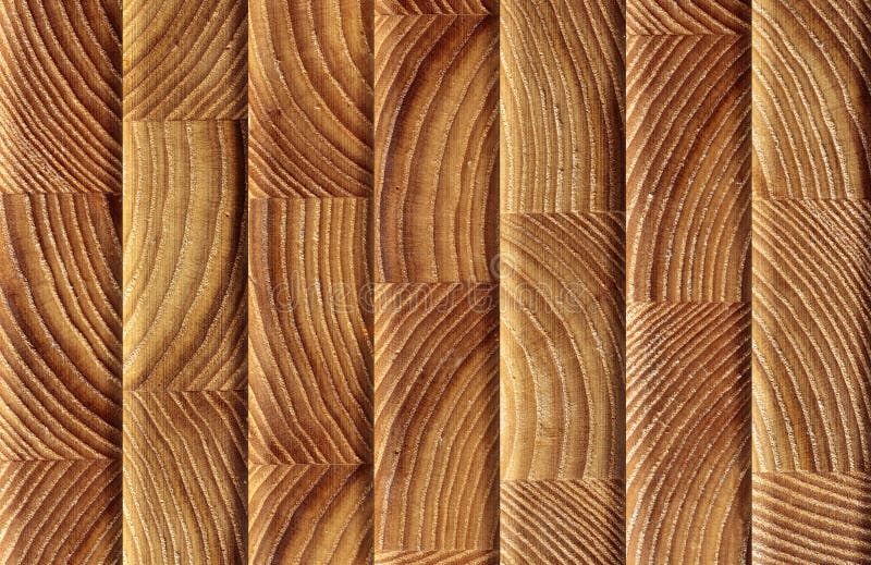 Closeup glued ash boards stock image. Image of detail - 245944965