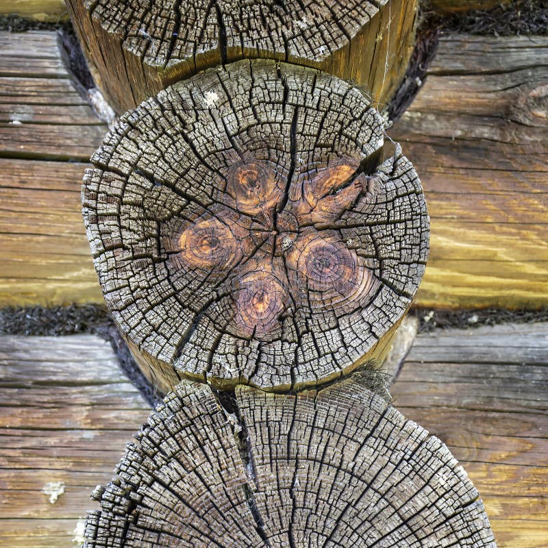 Wooden Background in the Form of a Cut of an Old Log Stock Image ...