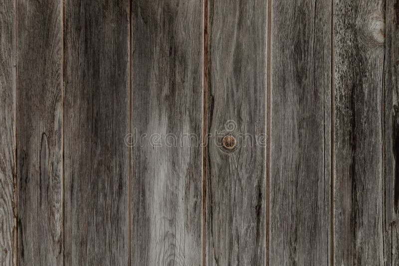 Ideal Background for Copy Paste Stock Photo - Image of spoiled ...