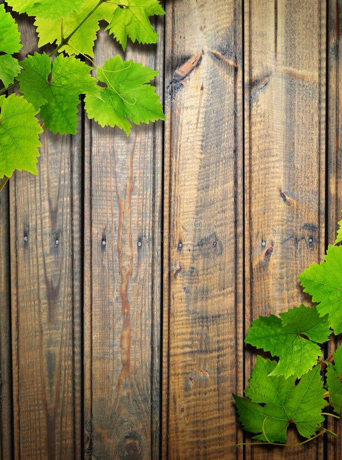 Wooden background and leaf stock image. Image of timber - 81831919