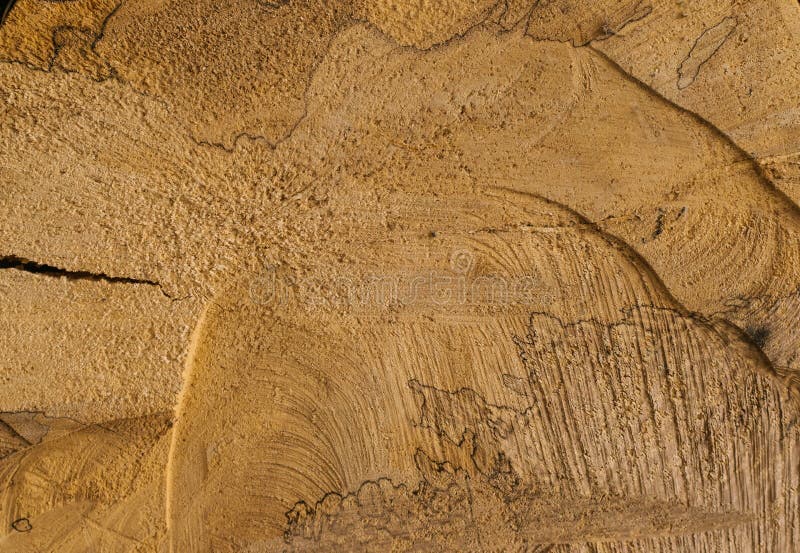 Wooden Background.a Section of a Tree Stock Image - Image of material ...