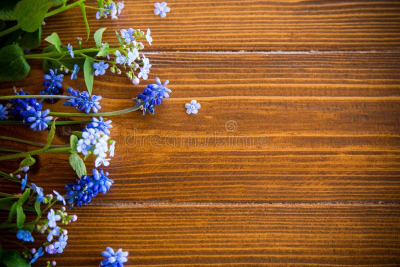 Wooden Background with Spring Flowers and Empty Space Stock Image ...