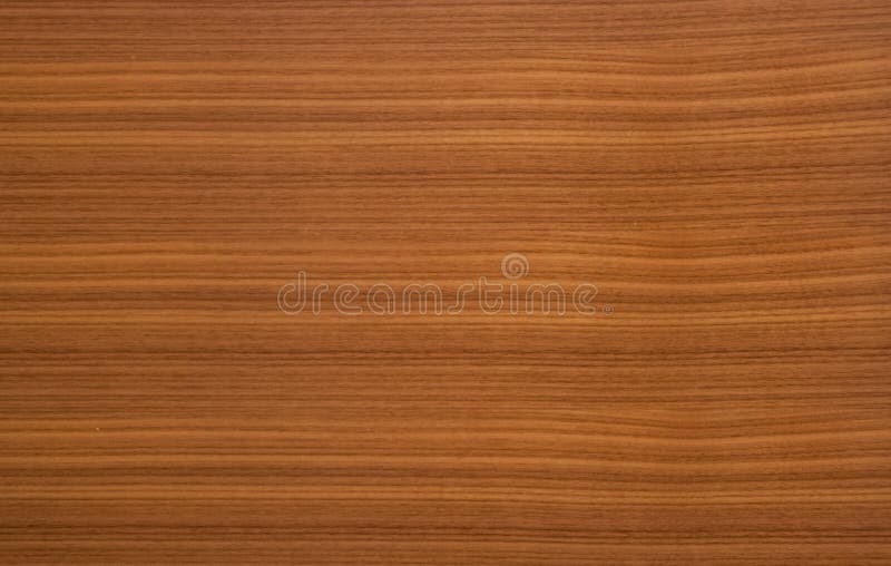 101 Marri Stock Photos - Free & Royalty-Free Stock Photos from Dreamstime