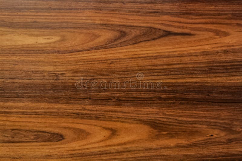 101 Marri Stock Photos - Free & Royalty-Free Stock Photos from Dreamstime