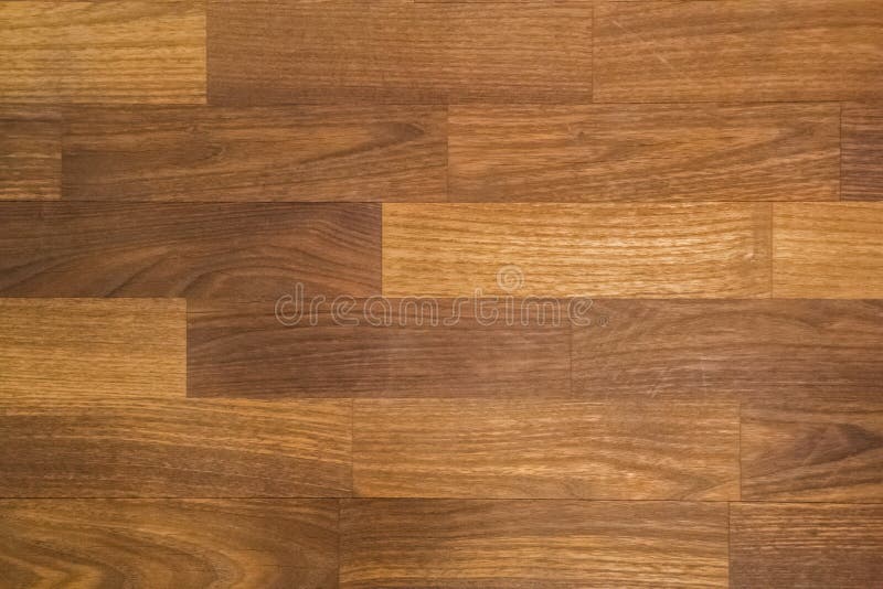 103 Marri Stock Photos - Free & Royalty-Free Stock Photos from Dreamstime