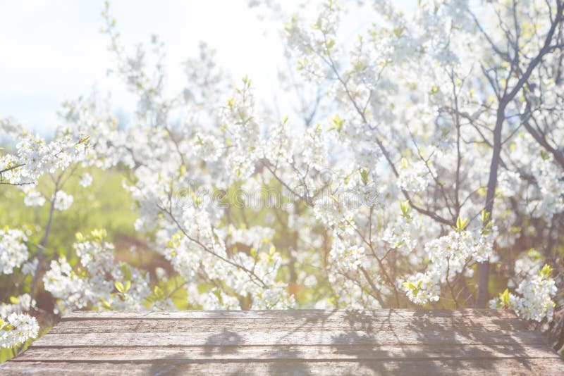 3,102 Sakura Tree Top View Photos - Free & Royalty-Free Stock Photos ...