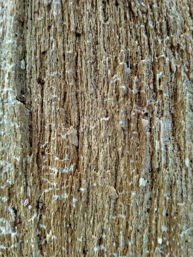 Wooden Background. Wood Texture. Basis. Pattern Stock Image - Image of ...