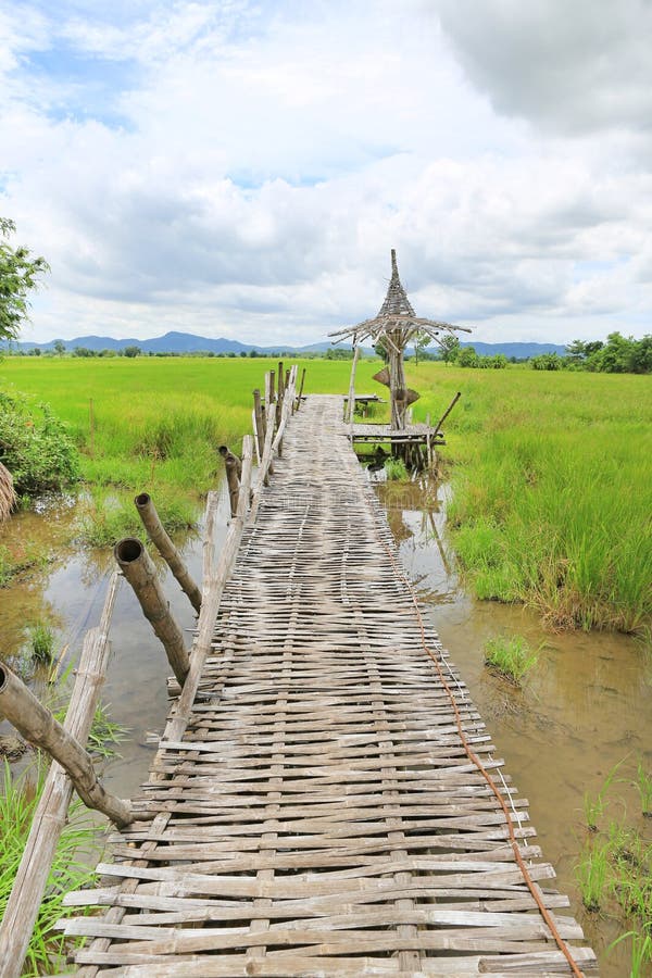 Wooden Bamboo Bridge on Rice Paddy Field Stock Photo - Image of green ...