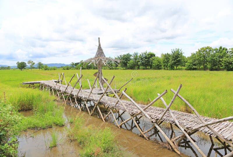 Wooden Bamboo Bridge on Rice Paddy Field Stock Image - Image of farmer ...