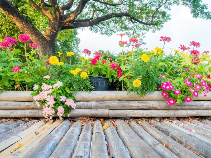 Wooden Bamboo Path Way with Beautiful Flowers Stock Image - Image of ...