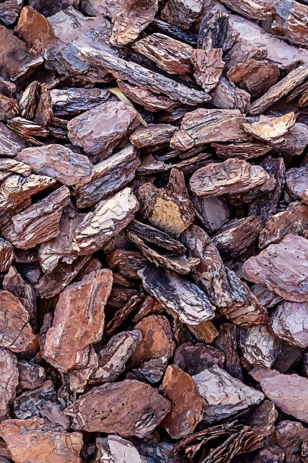 Wooden Bark Pieces Vertical Pattern Dark Brown Background Basic Rustic ...