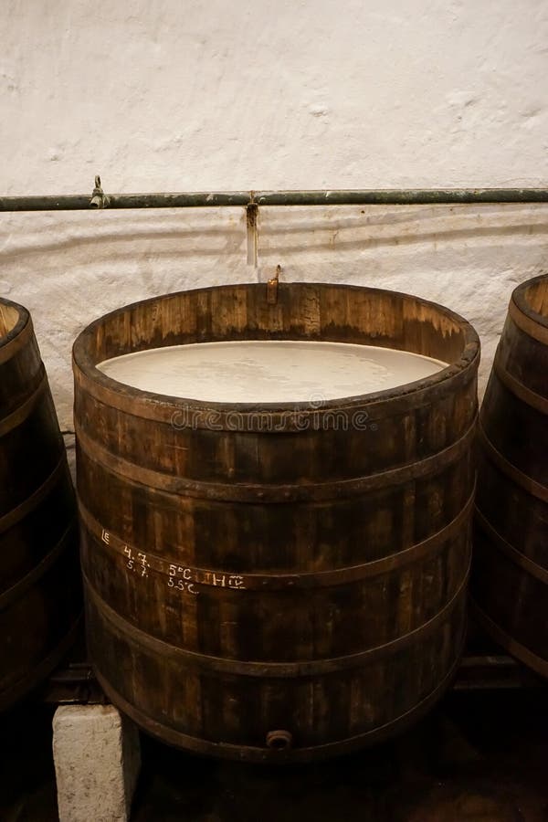 A Wooden Barrel Full of Fermenting Beer. Stock Photo - Image of barrel ...
