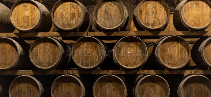 Wooden Barrels for Wine Aging in the Cellar. Stock Photo - Image of ...