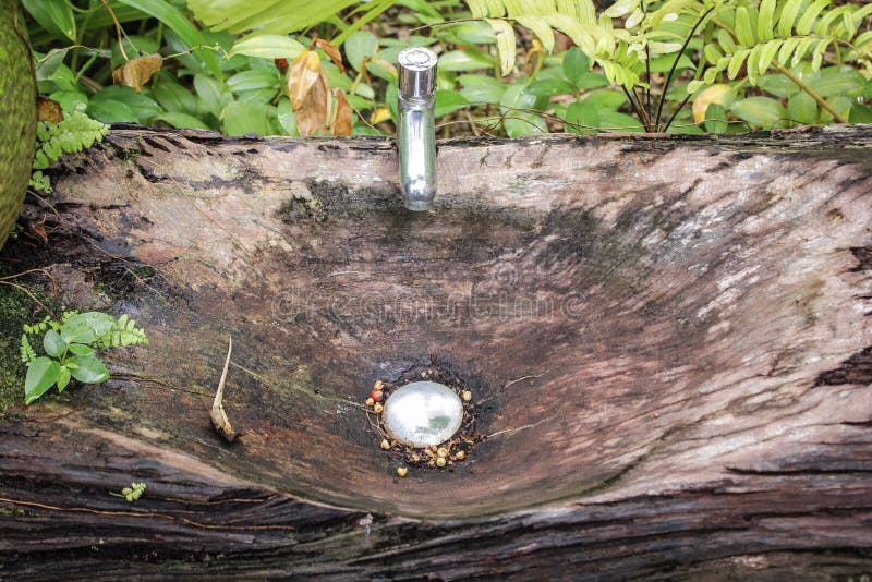 Wooden basin stock photo. Image of hygiene, cabinet, architecture ...