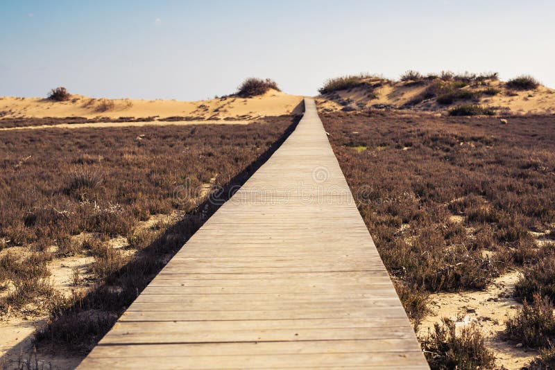 Wooden Beach Boardwalk Path Stock Image - Image of beach, coastline ...