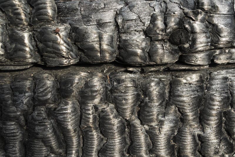 Wooden Wall after a Fire Background Stock Photo - Image of charred ...