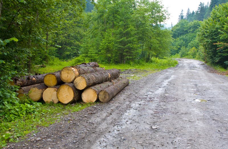 Wooden beam store stock image. Image of pole, sawed, rough - 28180917