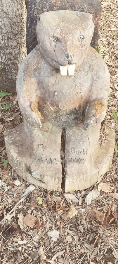 Wooden Beaver Standing Guard Stock Image - Image of guard, statue ...