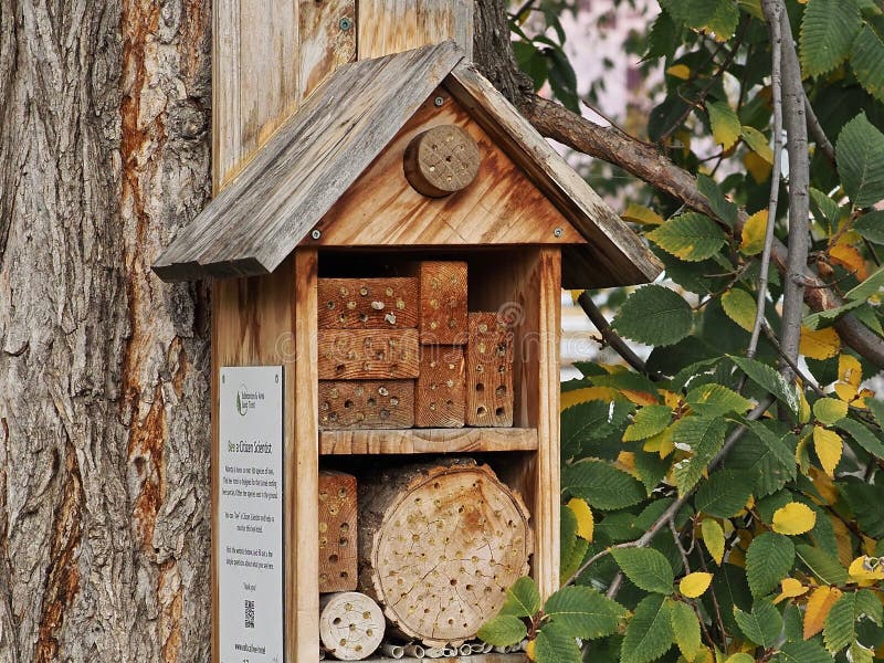 Wooden Bee House Attached To Tree Editorial Photo - Image of wildlife ...