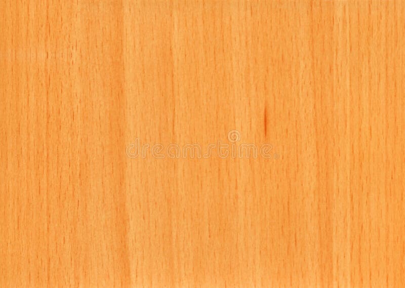 Wooden Beech texture stock photo. Image of abstract, background - 3497756