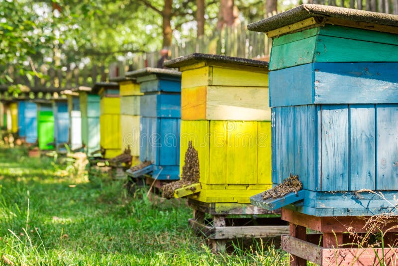 Wooden beehives in summer stock image. Image of apiary - 62907651