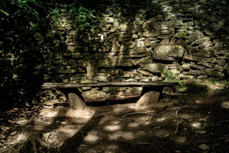 Wooden Bench on the Autumn Birch Trees Background Stock Photo - Image ...