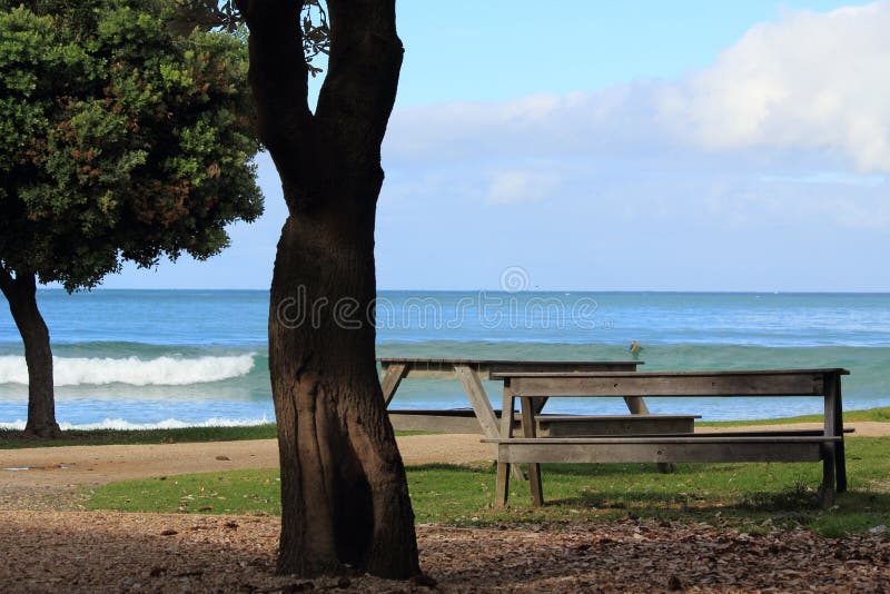 Wooden bench by the beach stock photo. Image of water - 91716386