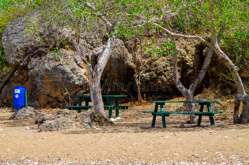 Wooden Bench on the Beach in the Shade of a Tree Stock Photo - Image of ...