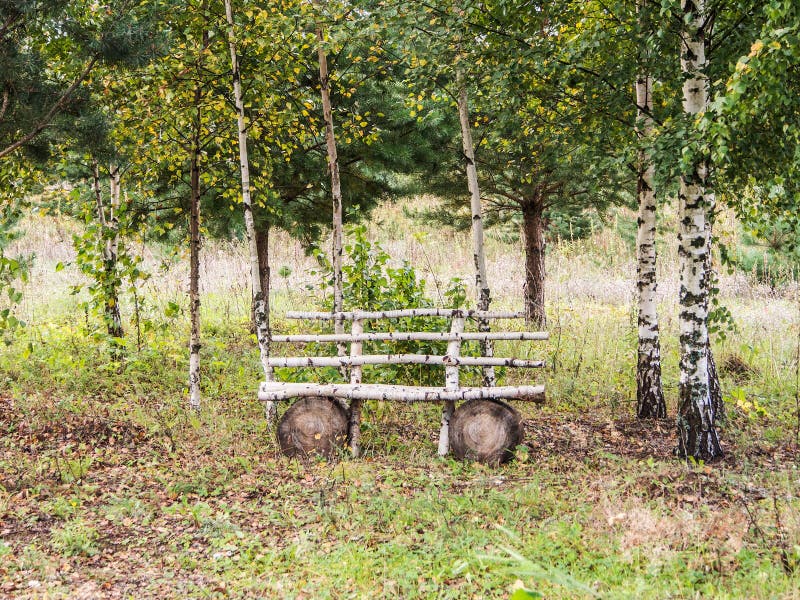 Wooden bench from birch stock photo. Image of leaf, forest - 79319590