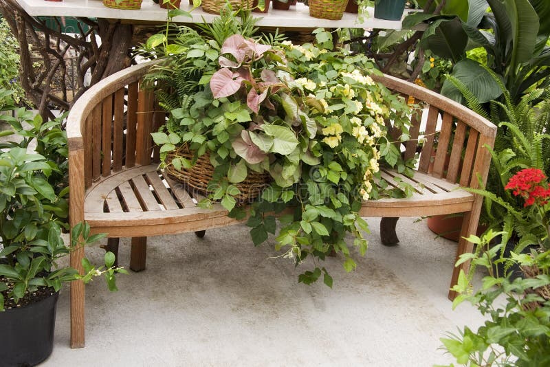 Wooden Bench Display stock image. Image of gardens, display - 1062631